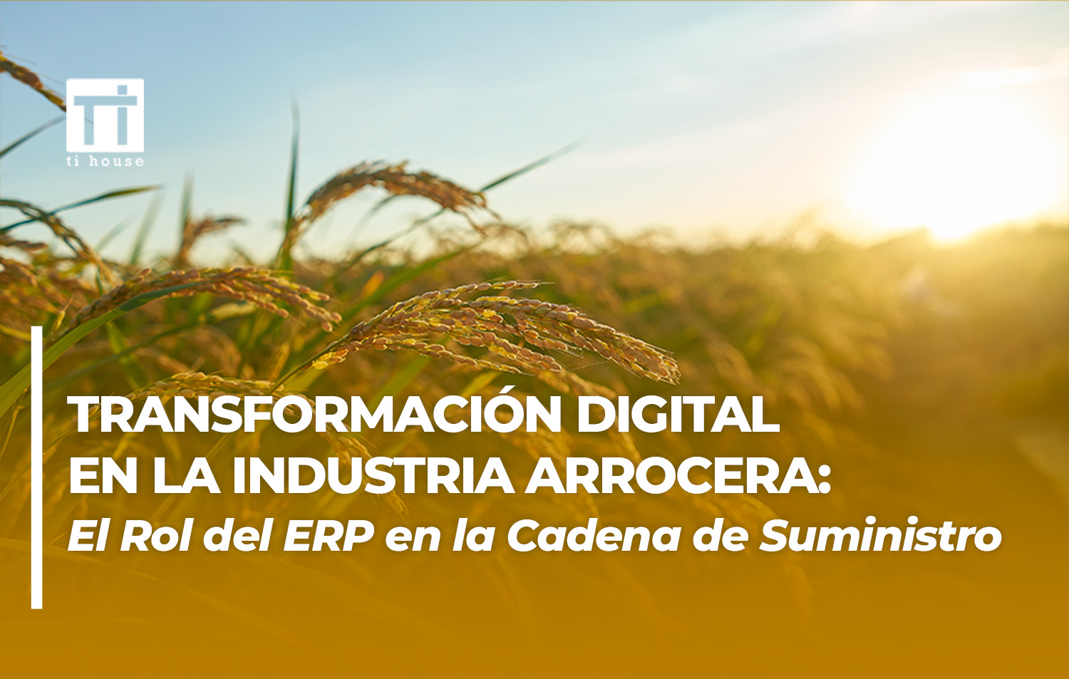 Transformación Digital en la Industria Arrocera: El Rol del ERP en la Cadena de Suministro - Tihouse